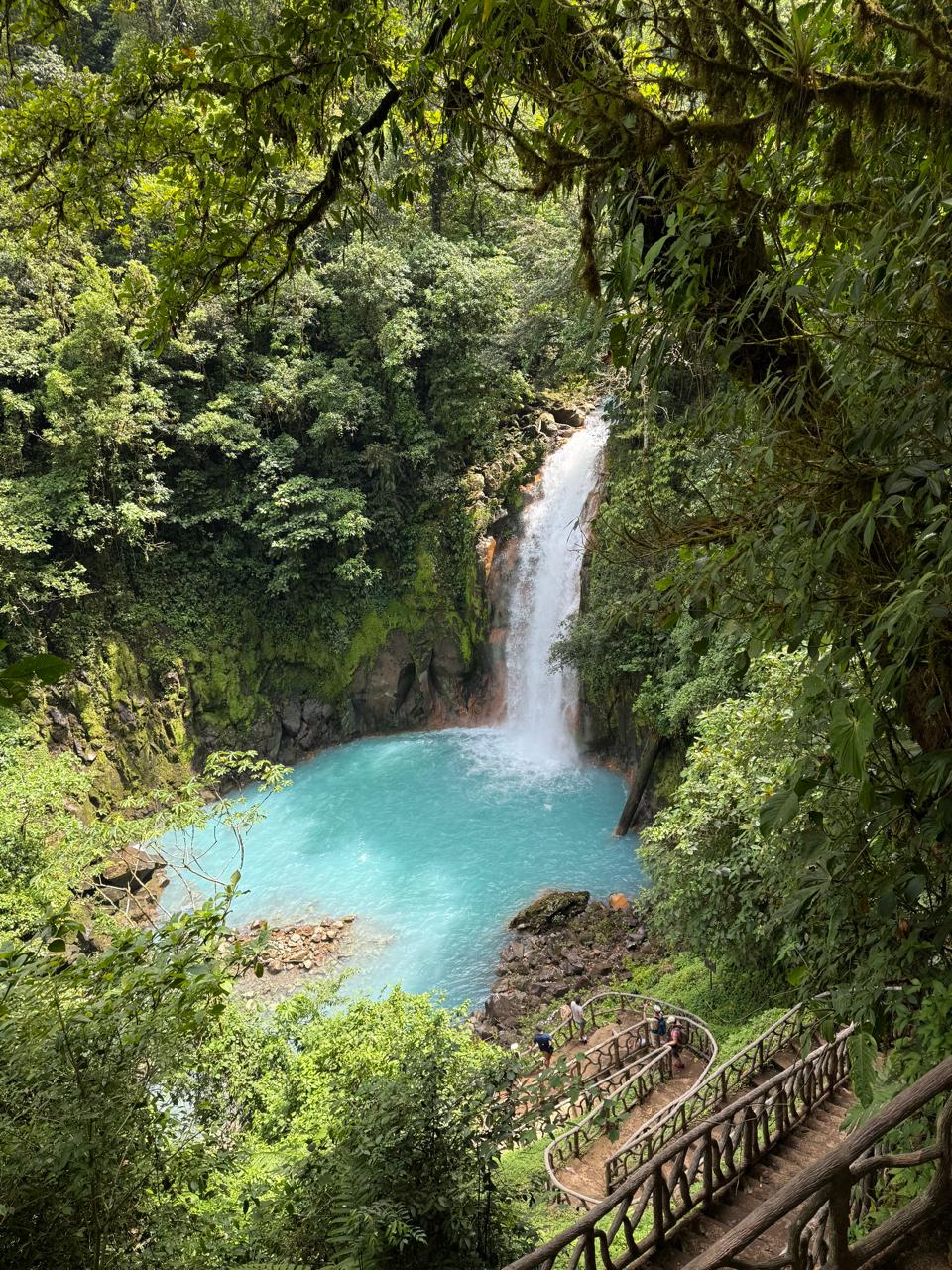 Rio Celeste Waterfall & Tenorio National Park - 3 Monkies Tours
