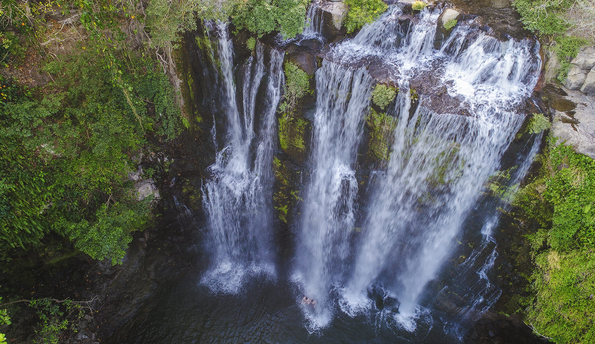 Llanos del Cortes Waterfall with Sloths & Frogs - 3 Monkies Tours